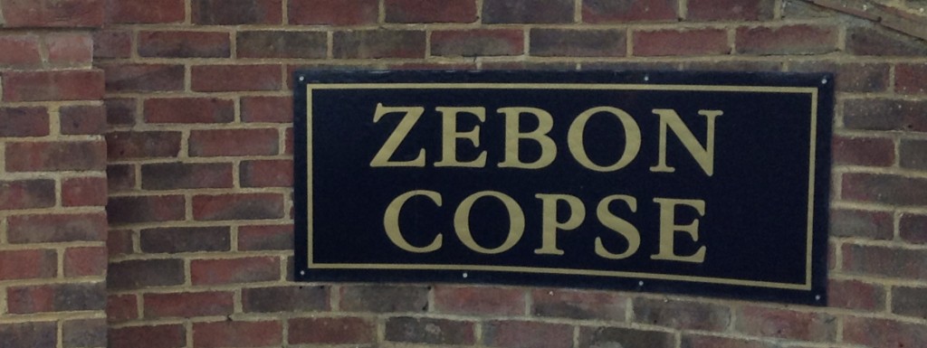 zebon copy – Zebon Copse Residents Association